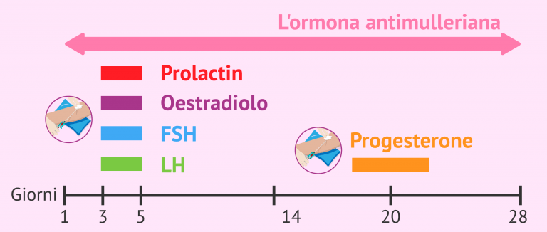 Quando fare i test ormonali