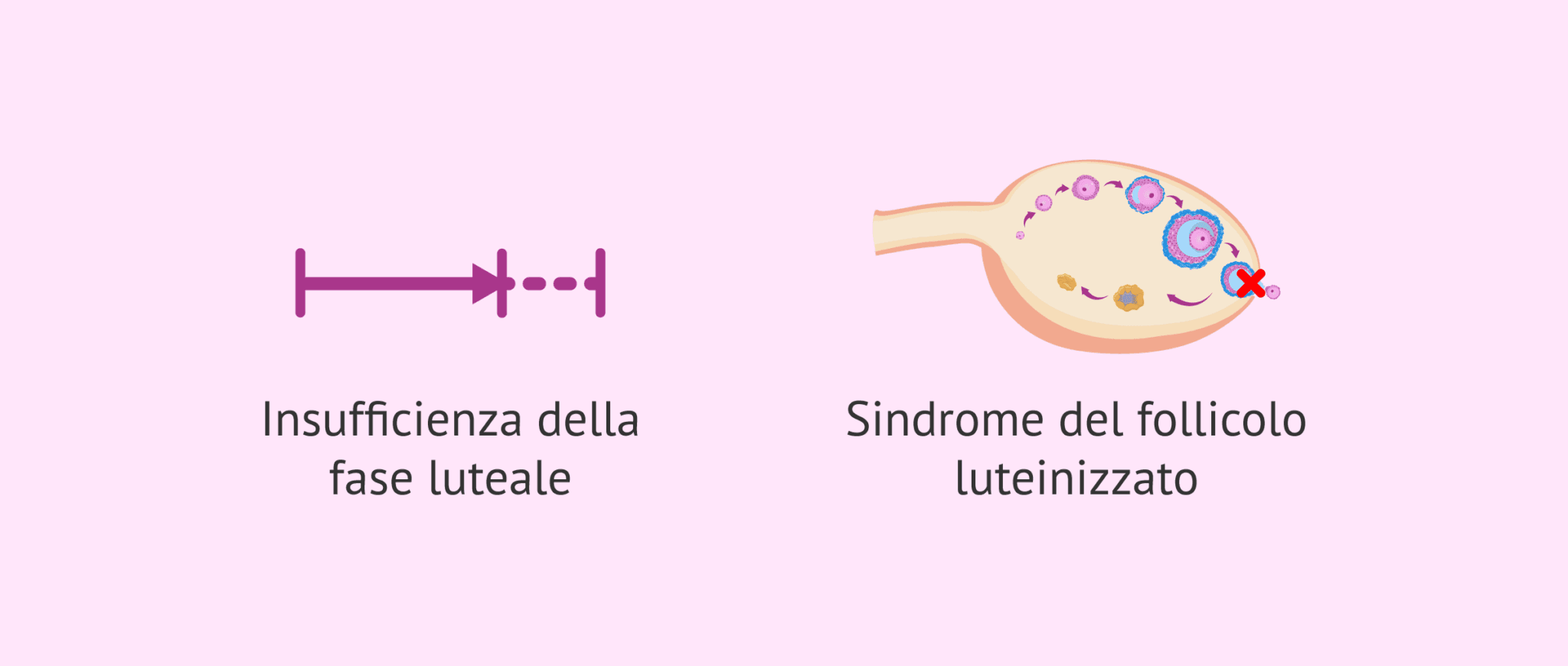 Alterazioni correlate alla fase luteale